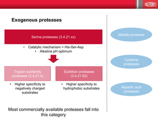 Advances in understanding_enzyme_substrates_in_feed_and_available ...