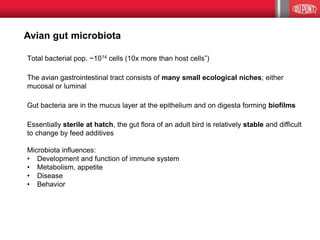 Advances in understanding_enzyme_substrates_in_feed_and_available ...