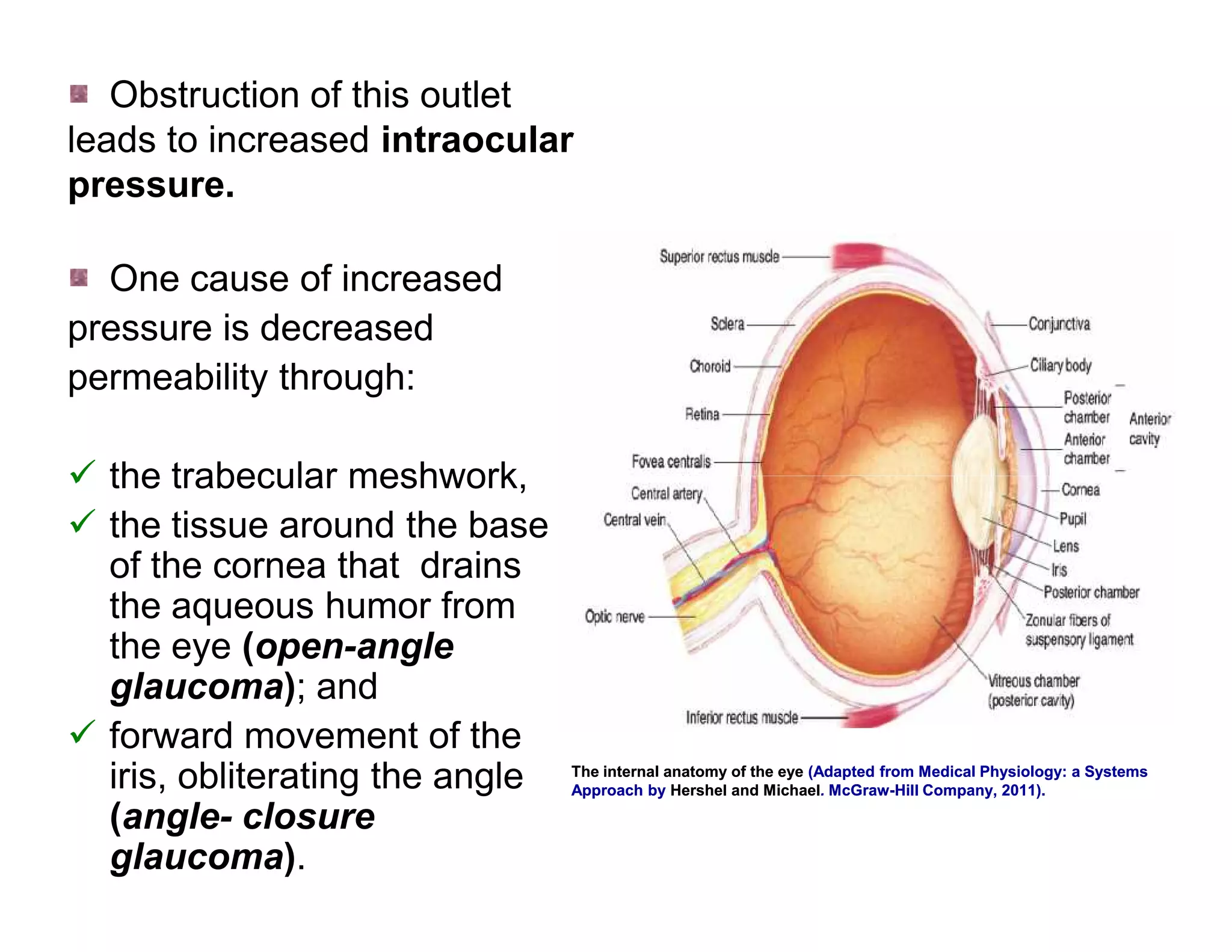 Advance Special Senses Physiology | PDF