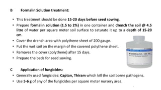 Advance techniques of vegetable seedling production and nursery | PPTX