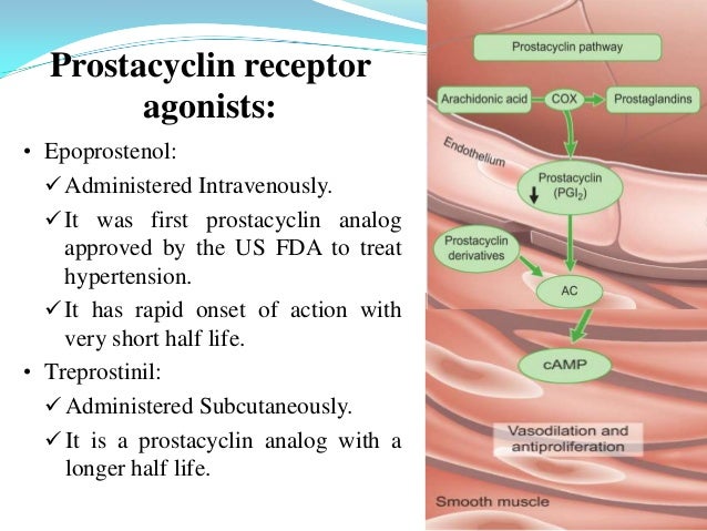 Advance therapy in hypertension... jyoti..ppt