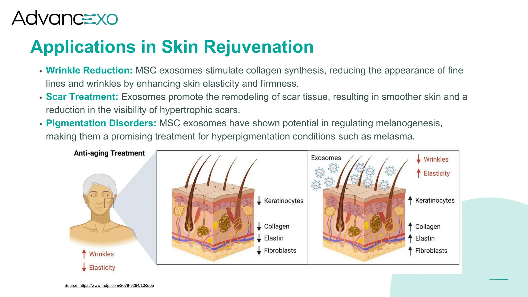 Mesenchymal Stem Cell Derived Exosomes: Applications in Dermatology and ...