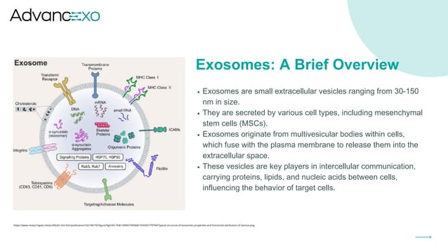 Mesenchymal Stem Cell Derived Exosomes: Applications in Dermatology and Hair Restoration | PDF ...