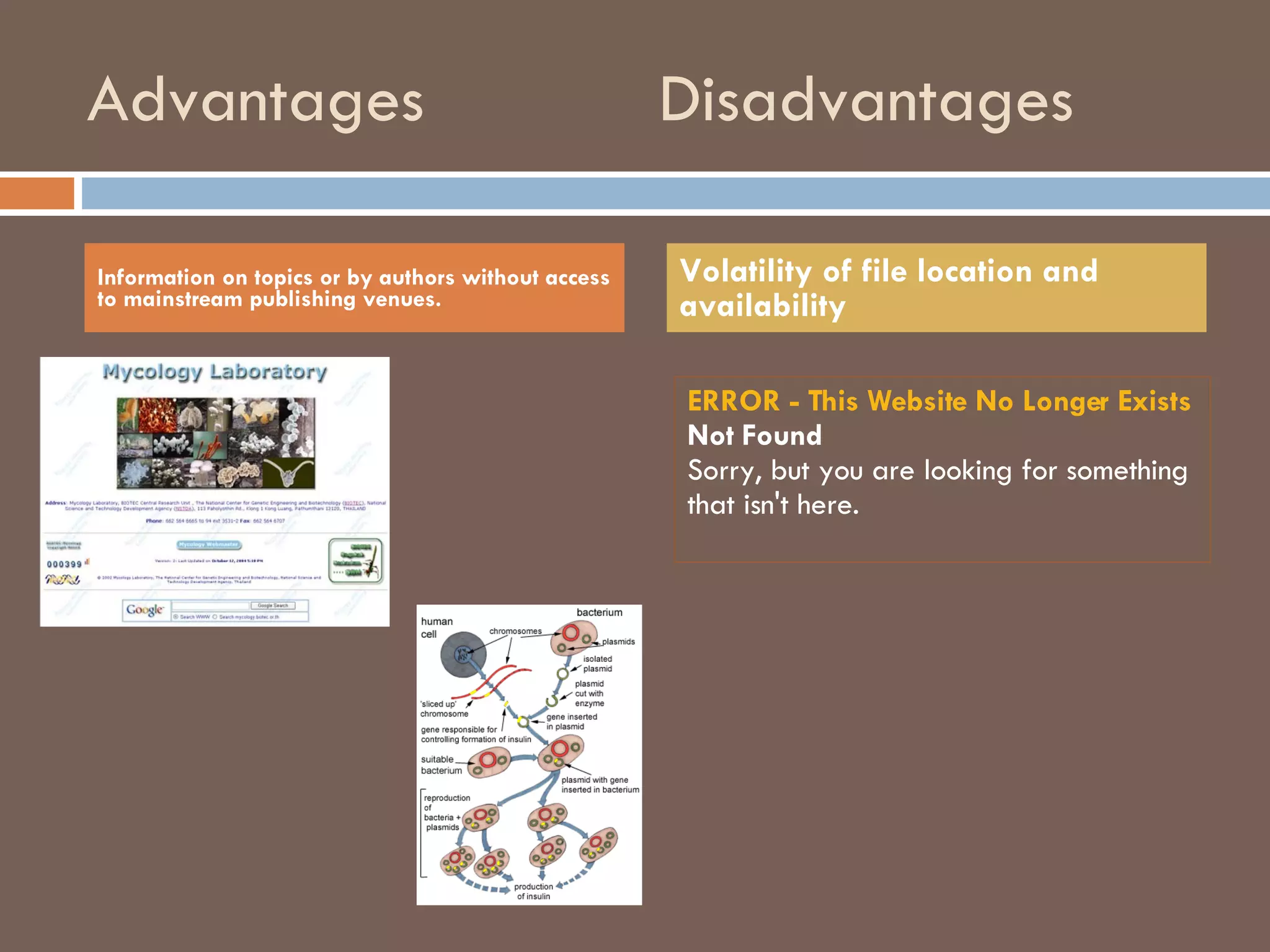 Advantages And Disadvantages Of The World Wide Web | PPT