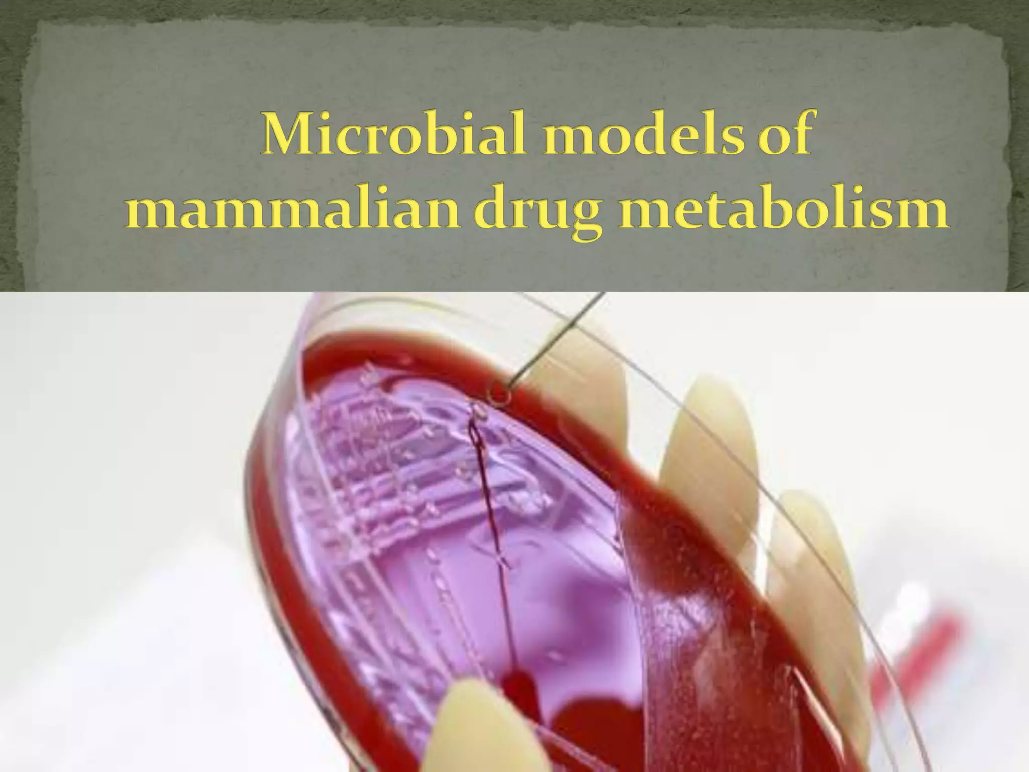 Advantages of microbial biotransformation of bioactive compounds ...
