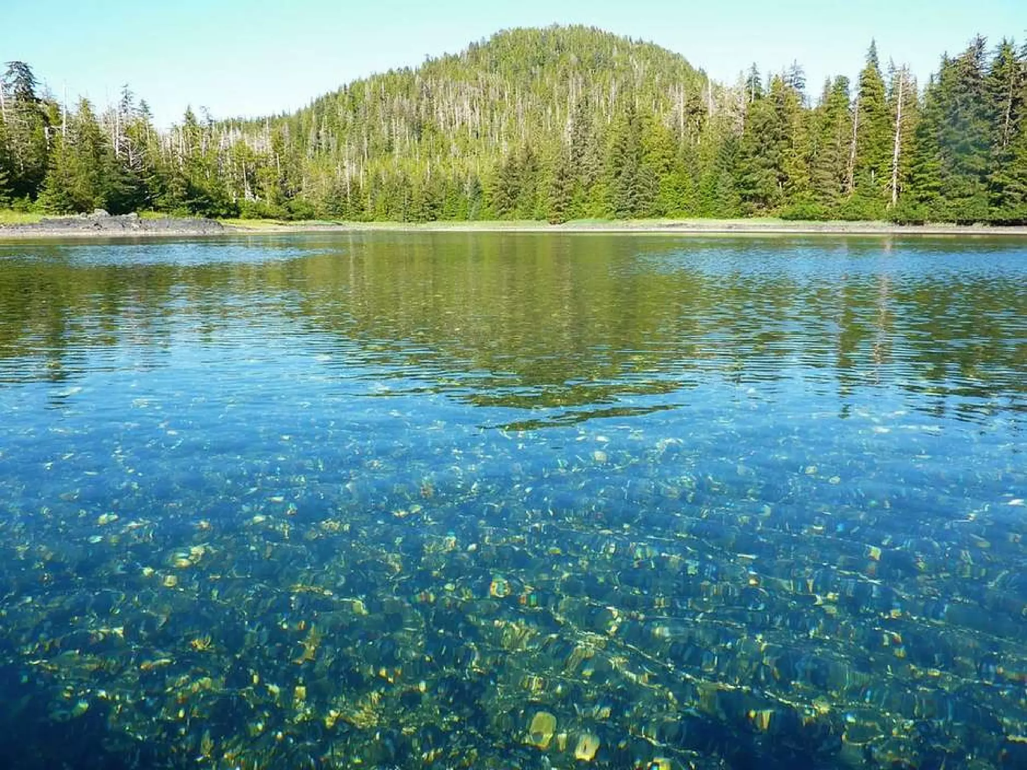 Advantages and disadvantages of country life | PPT