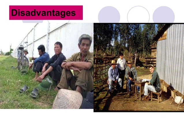 Advantages and disadvantages of country life | PPT