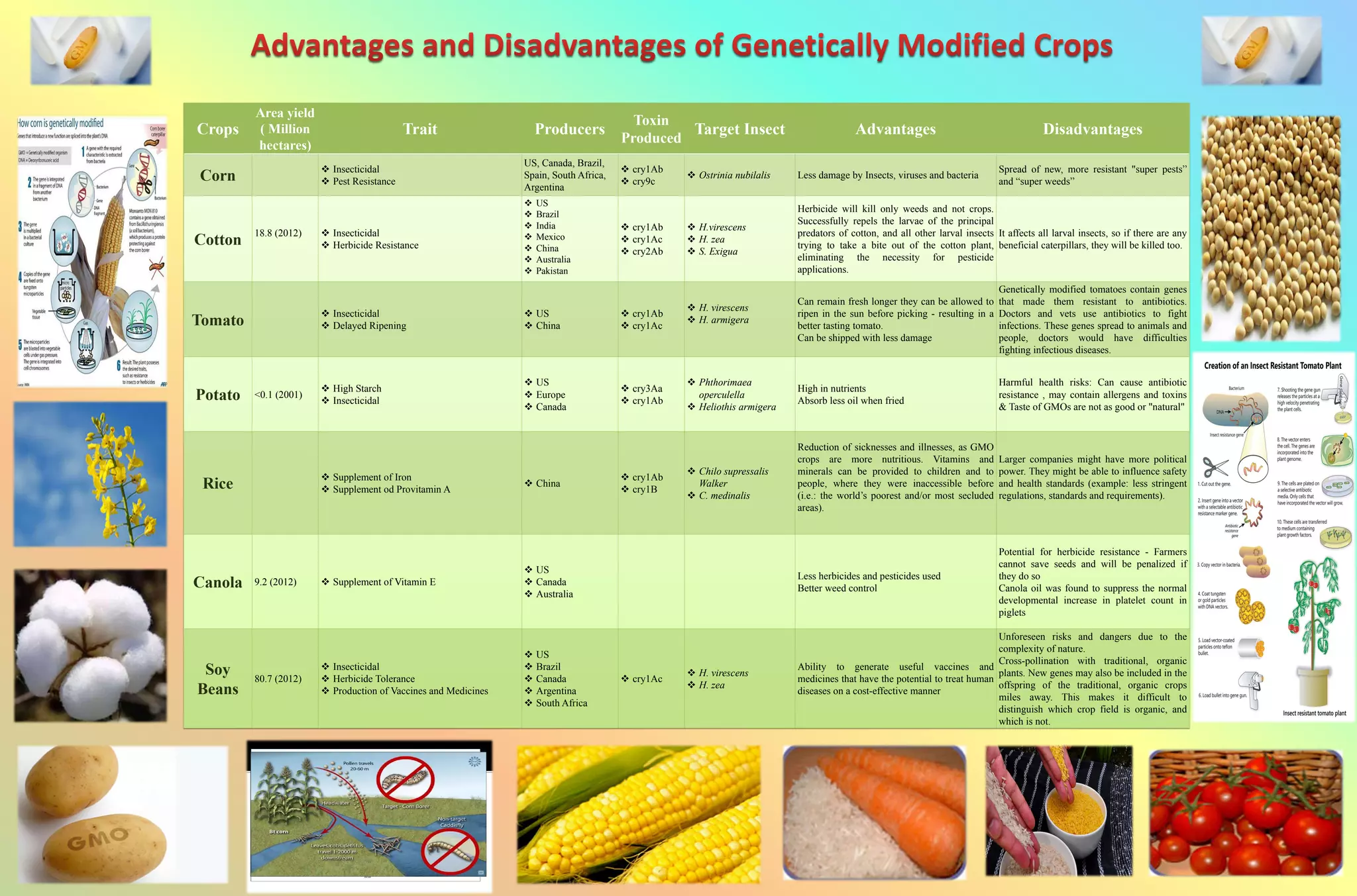 Advantages and disadvantages of GM crops | PPTX