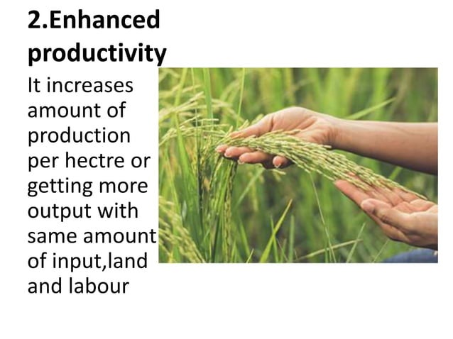 Advantages and disadvantages of modern farming methods.pptx ...