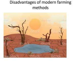 Advantages and disadvantages of modern farming methods.pptx