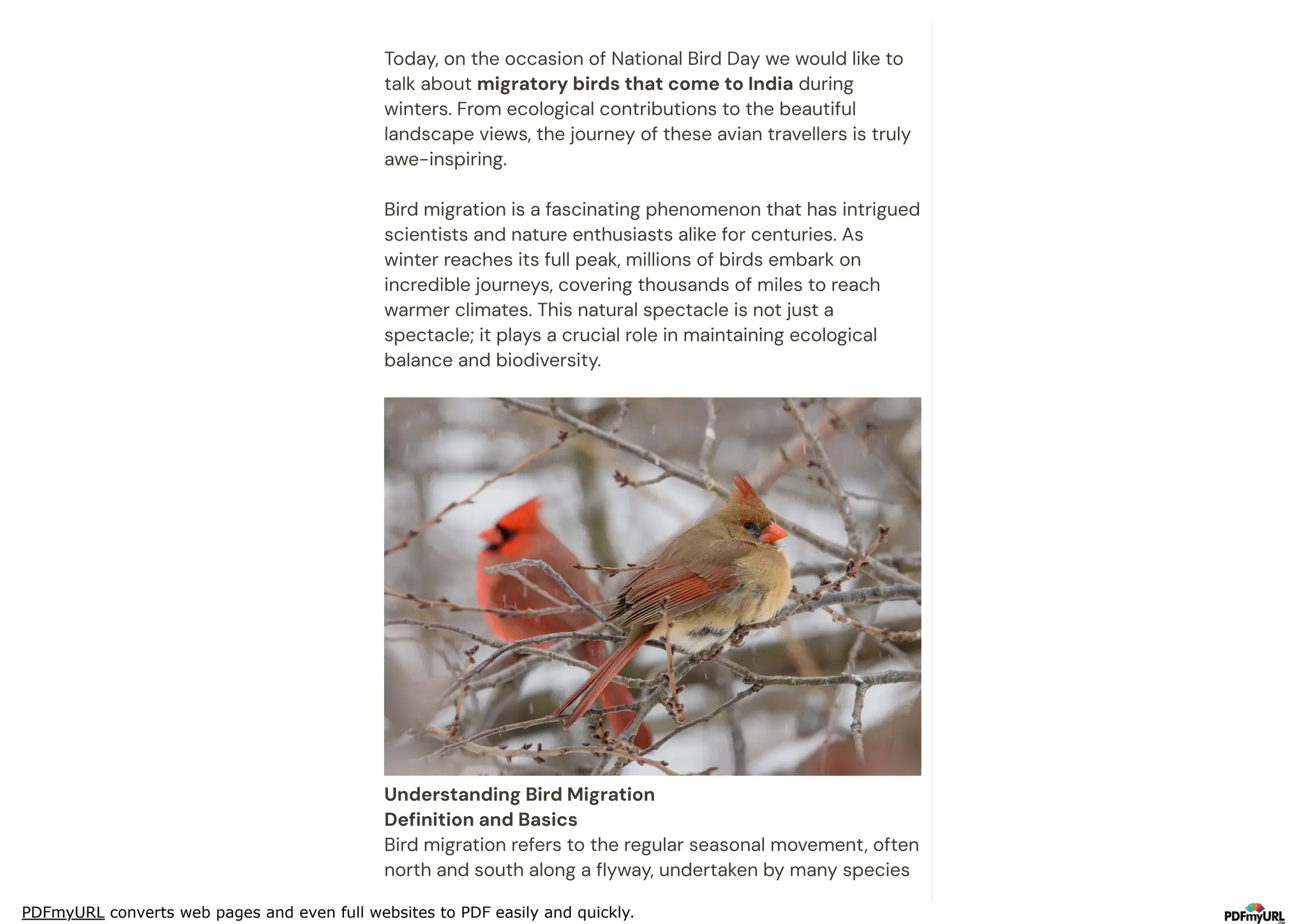 Advantages Of Bird Migration | Bird Migration | PDF