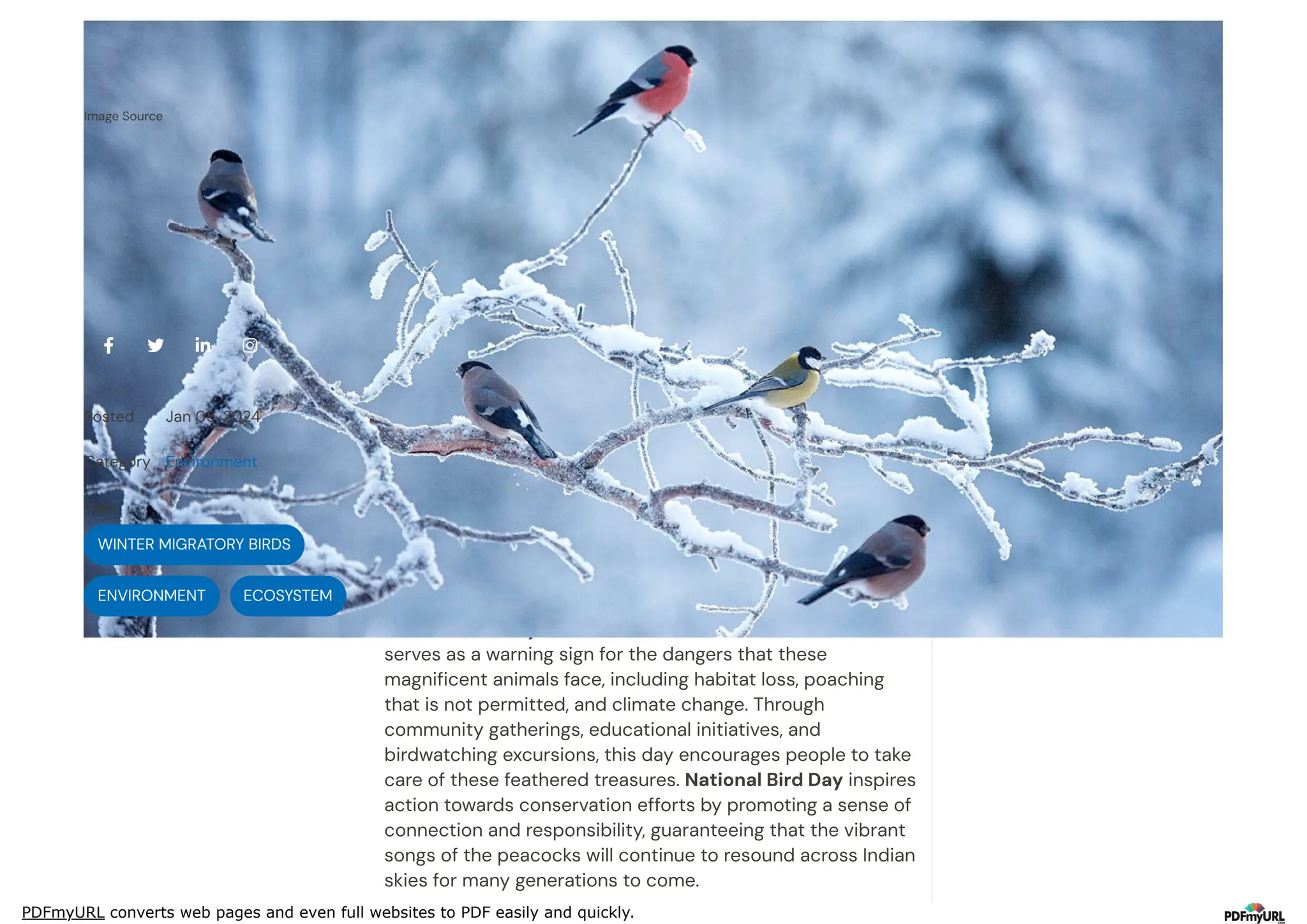 Advantages Of Migration In Birds | Migration | PDF