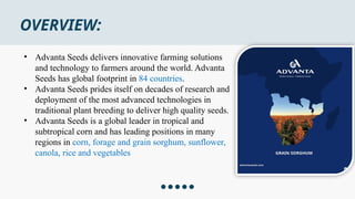 Advanta seeds.pptx company profile and performance | PPTX