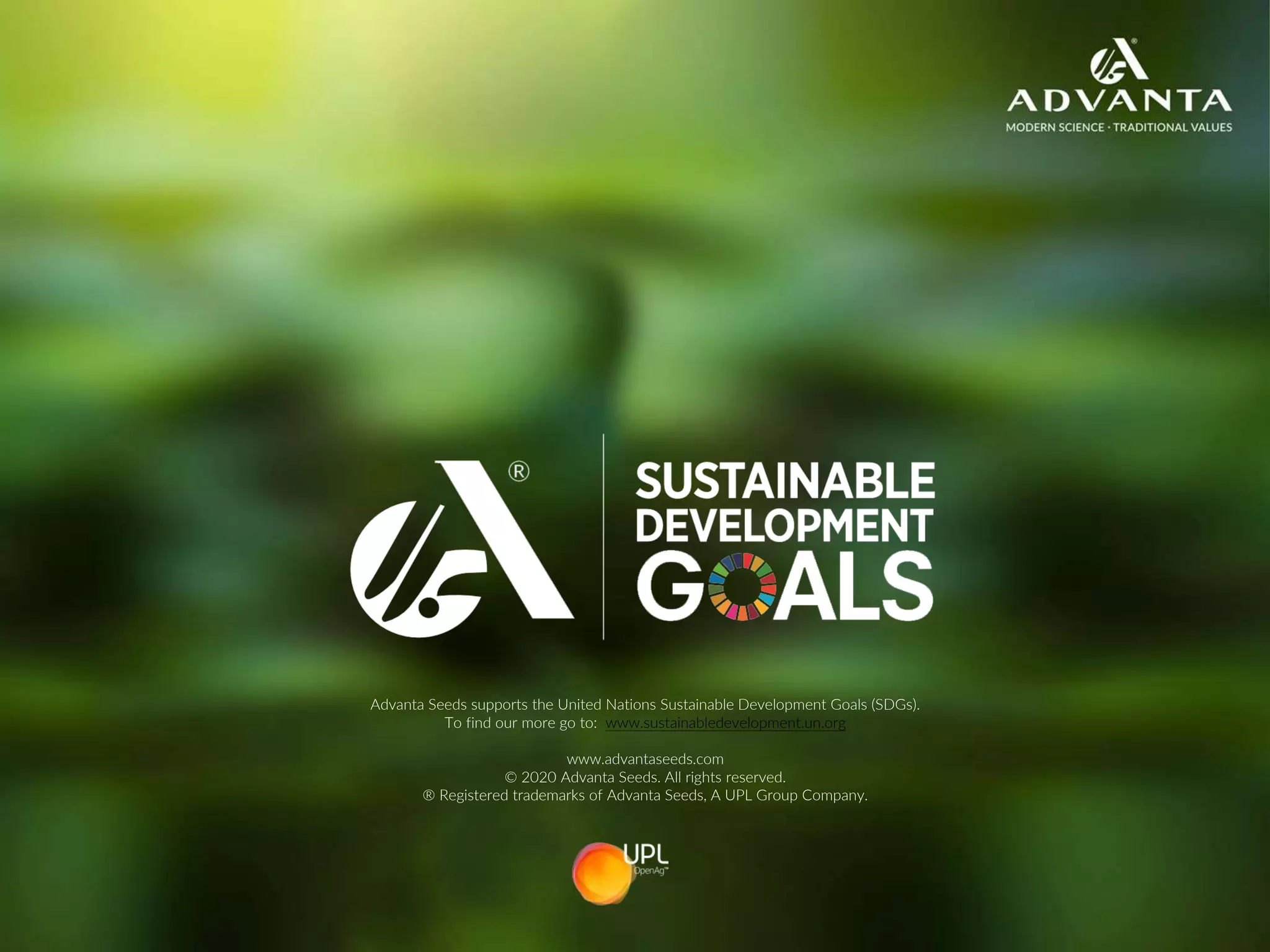 Advanta Seeds Sustainable Report | PPTX