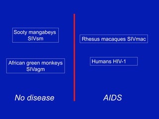 advanvirol-pathogenesis- 2.ppt