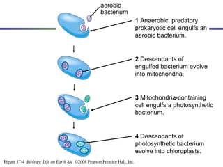 ADVBIOCH5ppt.ppt Cell Structure and Function | PPT