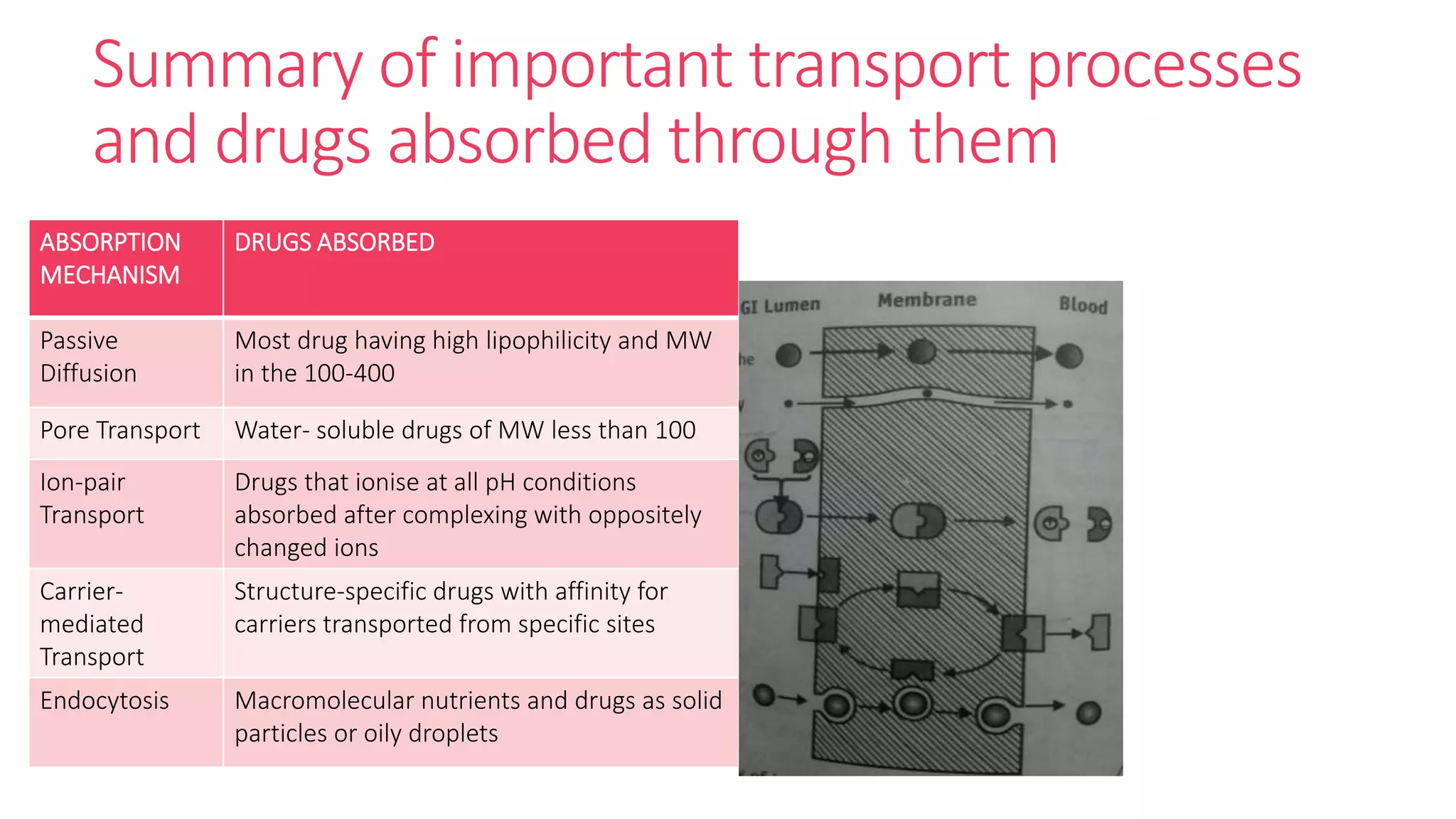 Drug Absorption from the Gastrointestinal Tract | PPTX