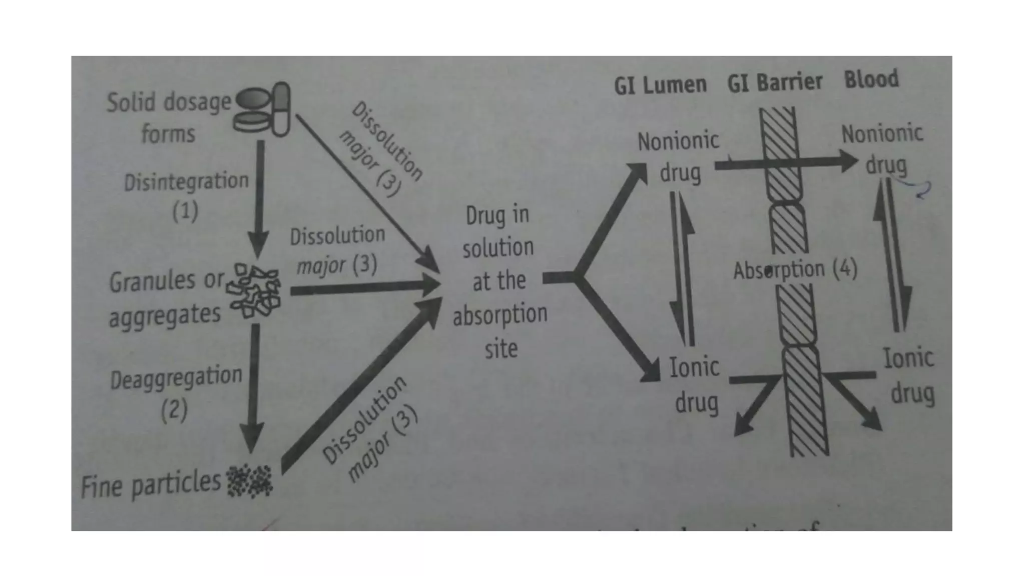 Drug Absorption from the Gastrointestinal Tract | PPTX