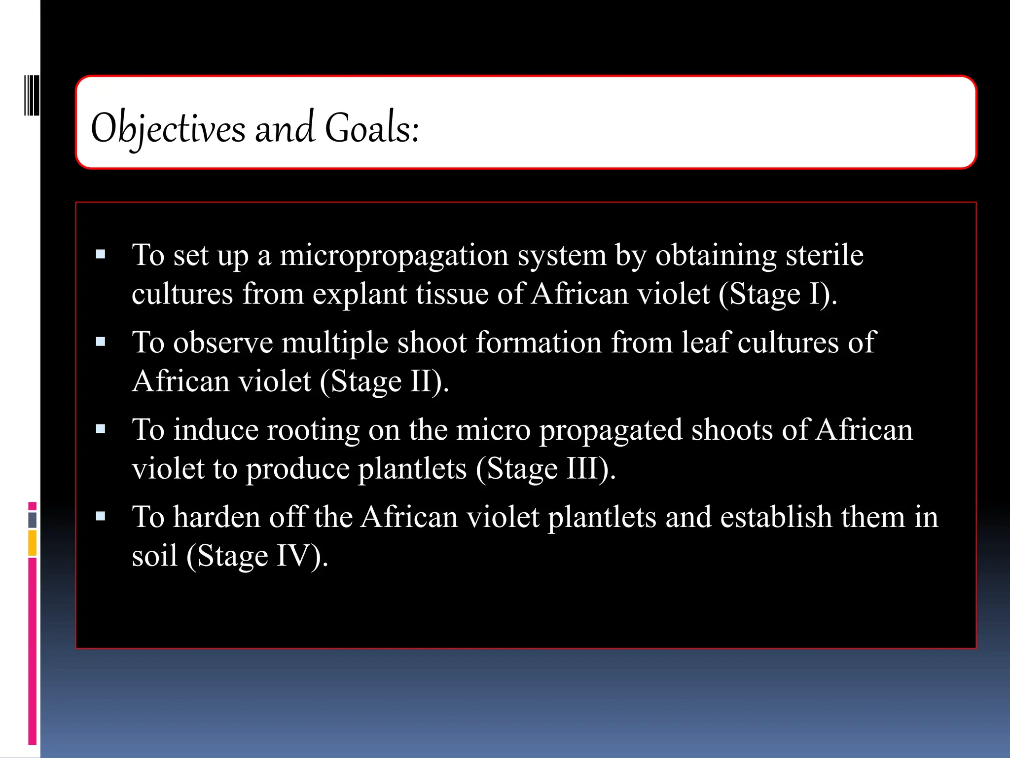 Adventitious Shoot Proliferation in tissue culture.pptx