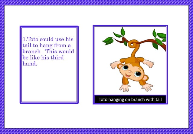 Adventures of toto | PPTX