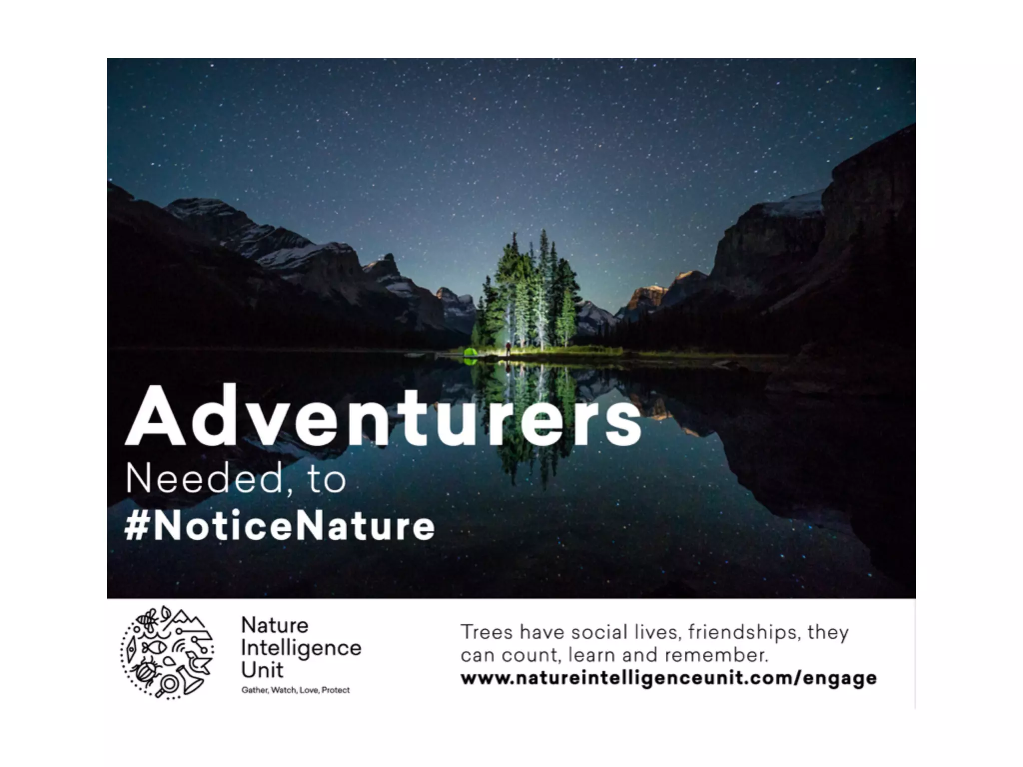 Adventurists Needed to Notice Nature | PDF