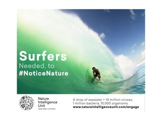 Adventurists Needed to Notice Nature | PDF
