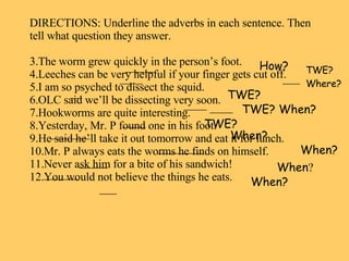 Adverb Notes | PPT