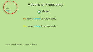 Adverb of frequency | PPTX