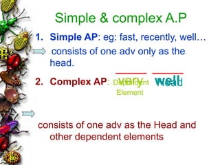 Adverb phrase pham nhu luan | PPT