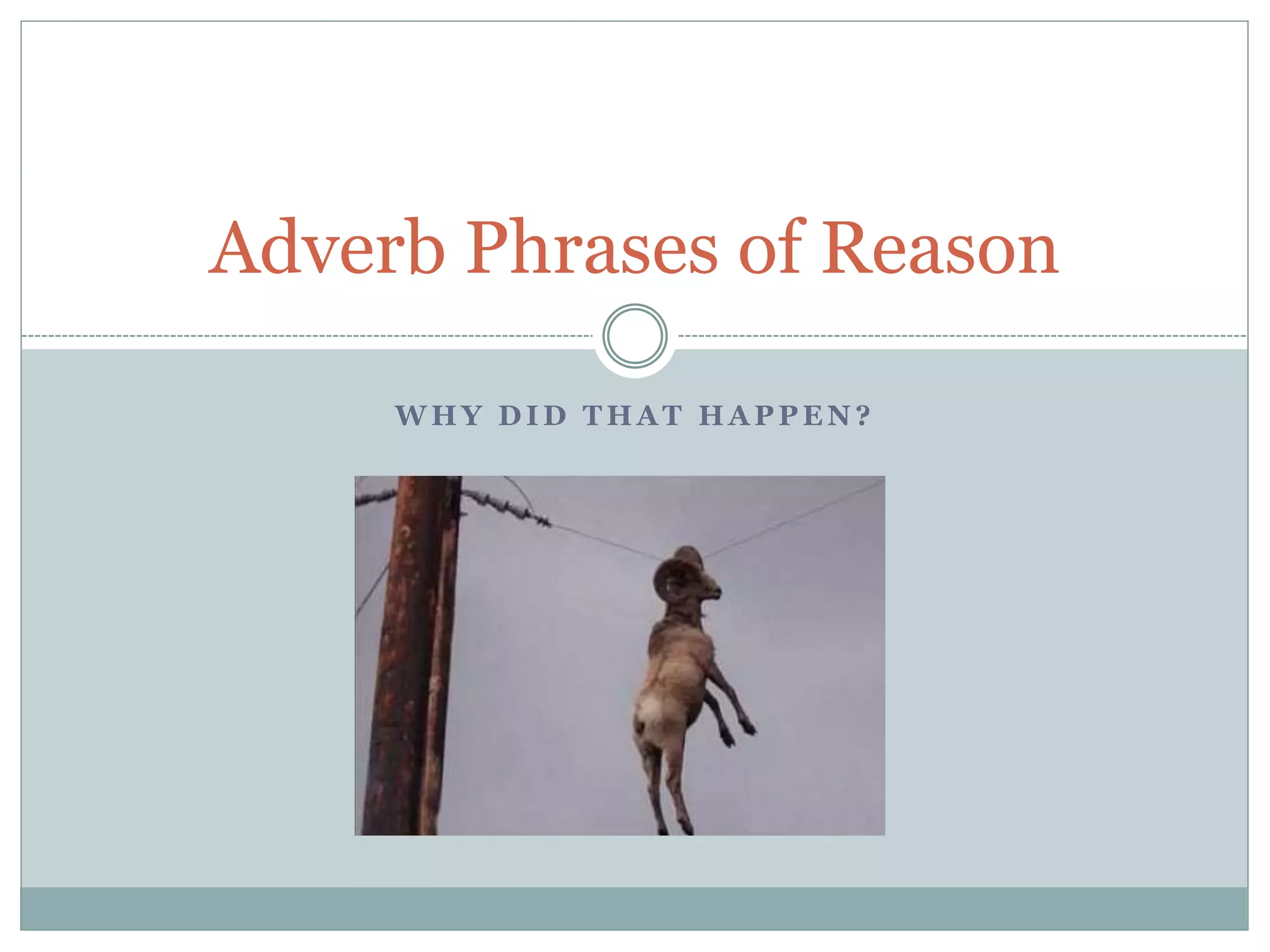Adverb phrases of reason | PPTX