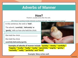 Adverbs lessons very easy to follow and learn | PPT