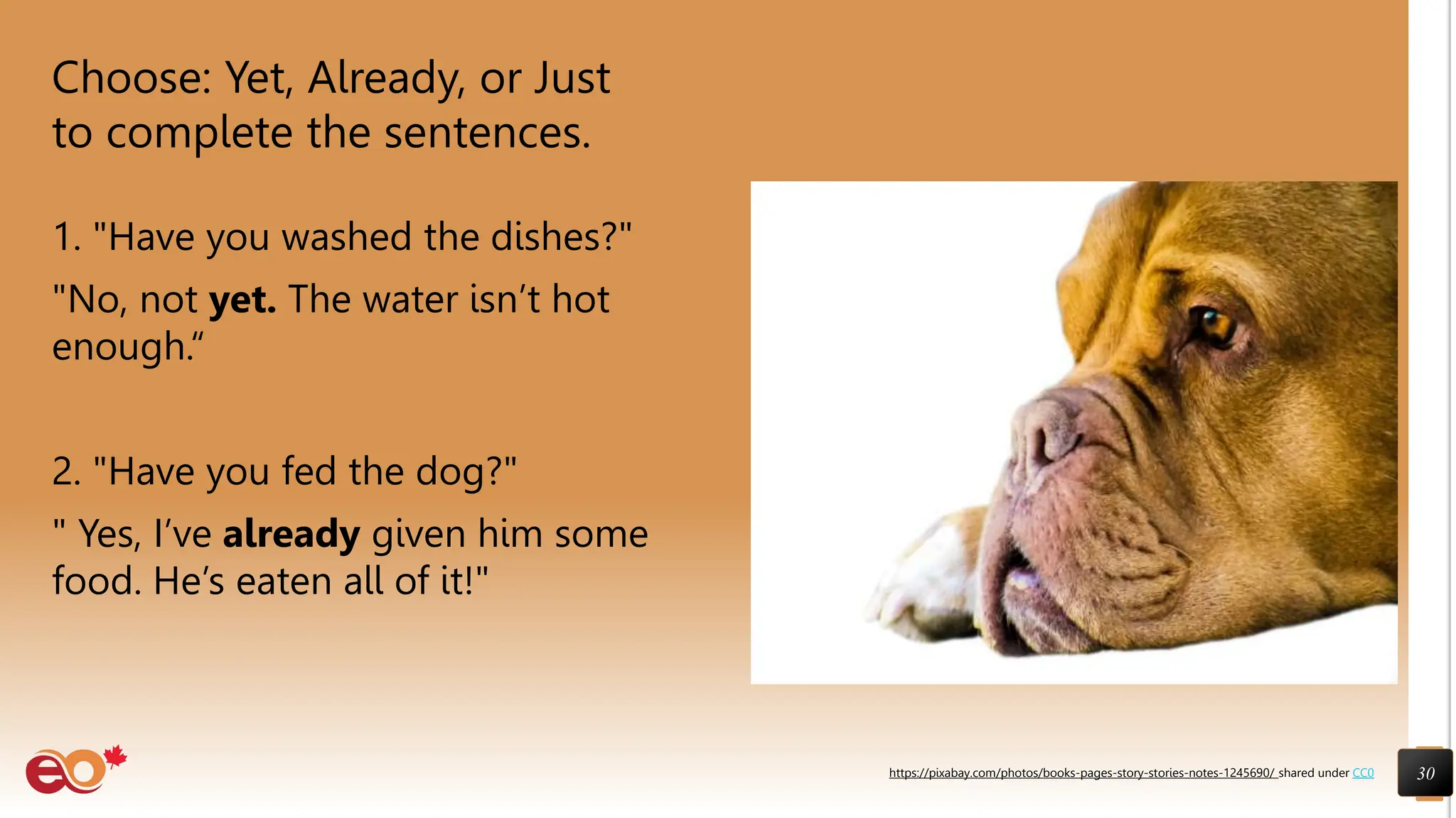 AdverbsJustYetAlreadyStillEOlunch&learn.pptx