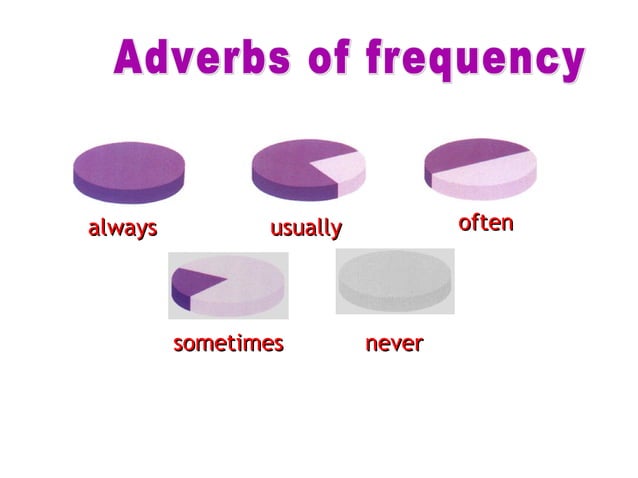 Adverbs of frequency and expressions | PPT