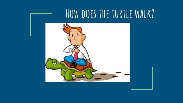 Adverbs warm up | PPTX