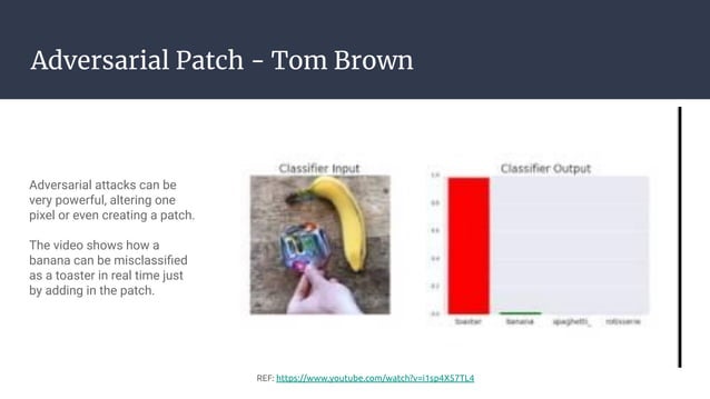 Presentation about adversarial image attacks | PDF