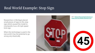 Presentation about adversarial image attacks | PDF
