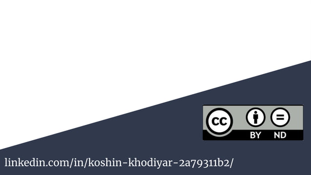 Presentation about adversarial image attacks | PDF