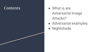 Presentation about adversarial image attacks | PDF