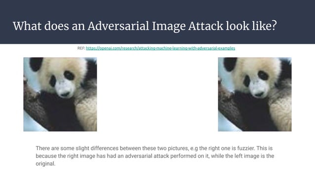 Presentation about adversarial image attacks | PDF
