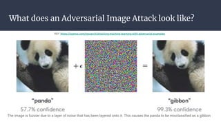 Presentation about adversarial image attacks | PDF
