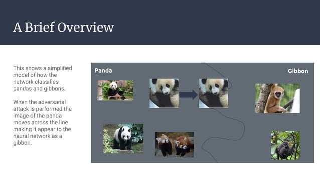 Presentation about adversarial image attacks | PDF