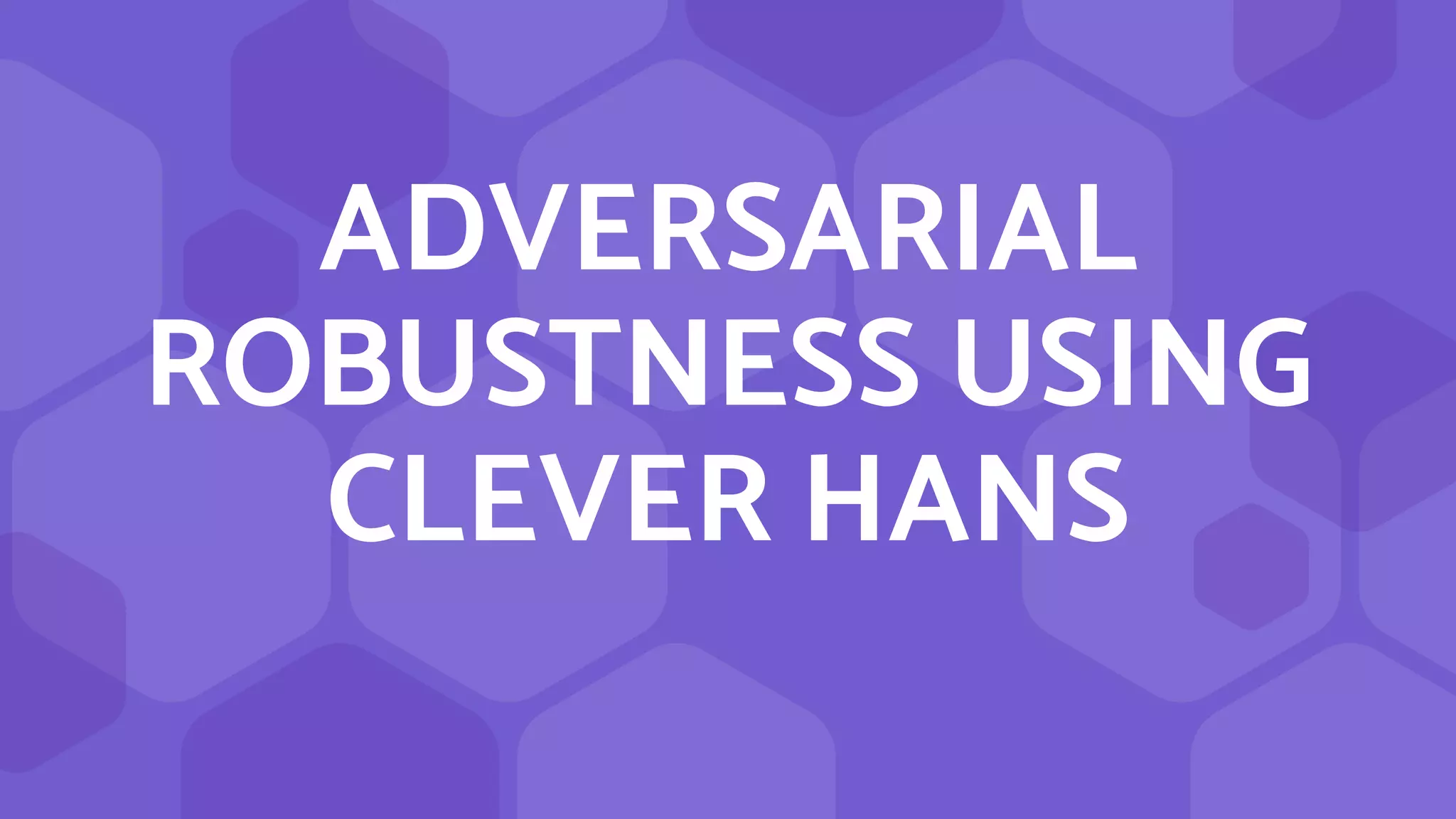 Adversarial robustness using clever hans | PPT