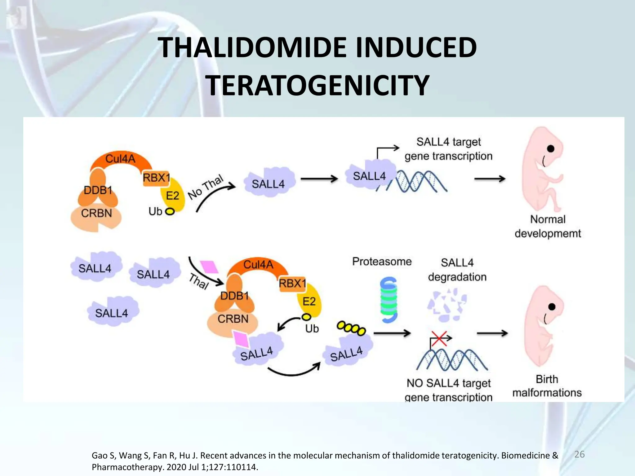 ADVERSE DRUG REACTIONS: TERATOGENICITY, MUTAGENICITY AND ...