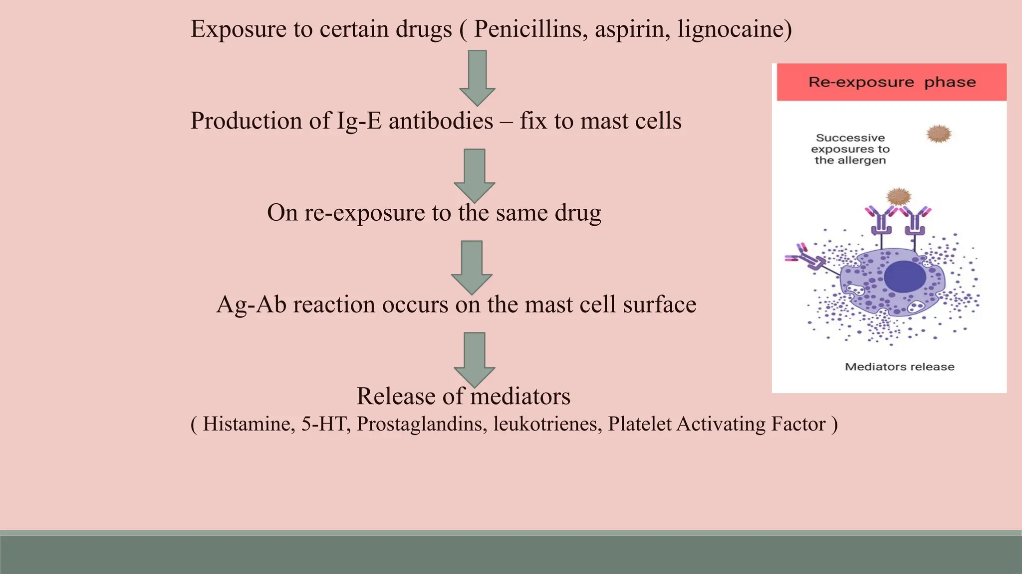 ADVERSE DRUG REACTIONS- BPHARM SECOND YEAR STUDENTS | PPTX