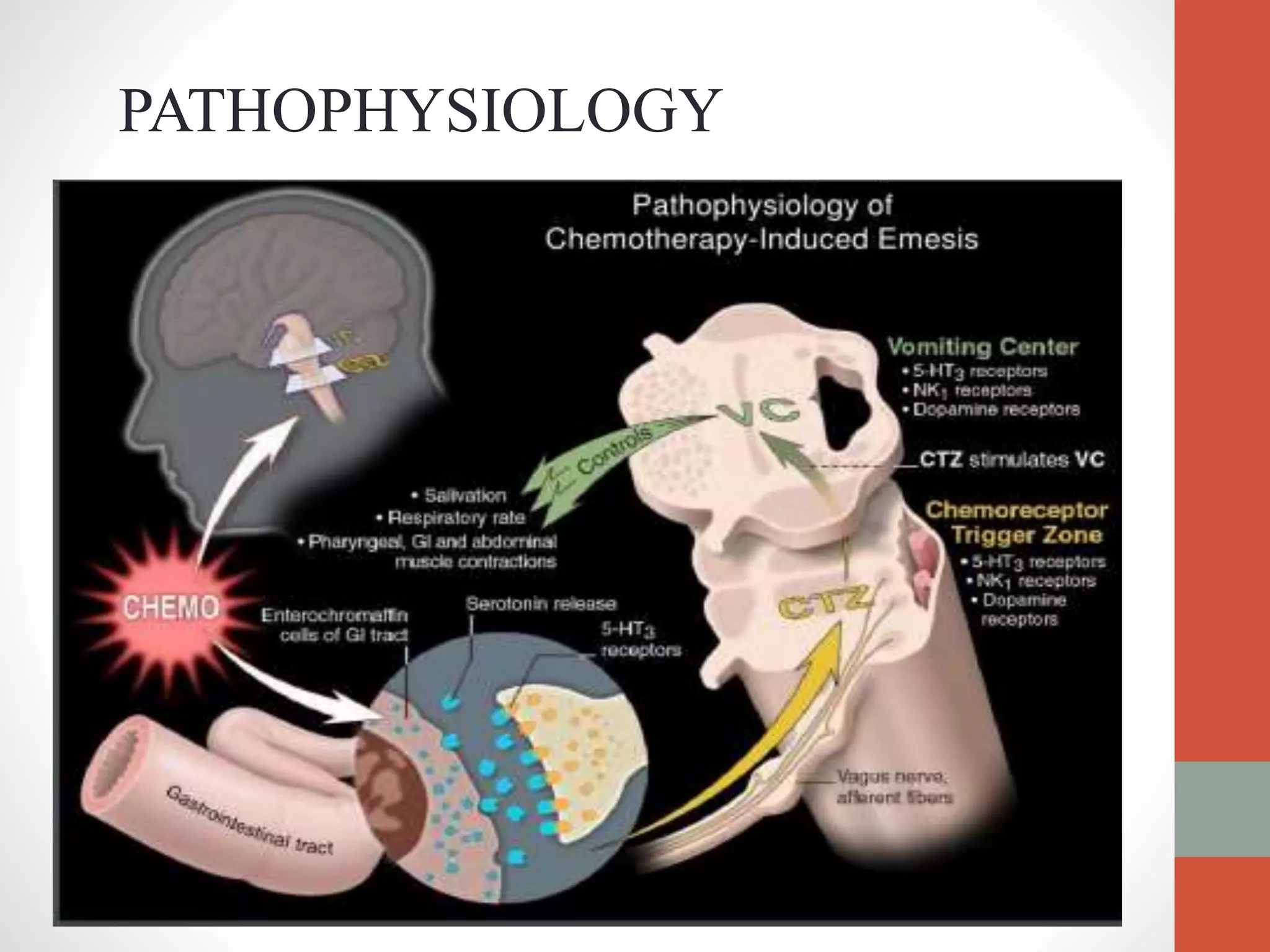 Adverse Drug Reactions of Chemotherapy 1.pptx