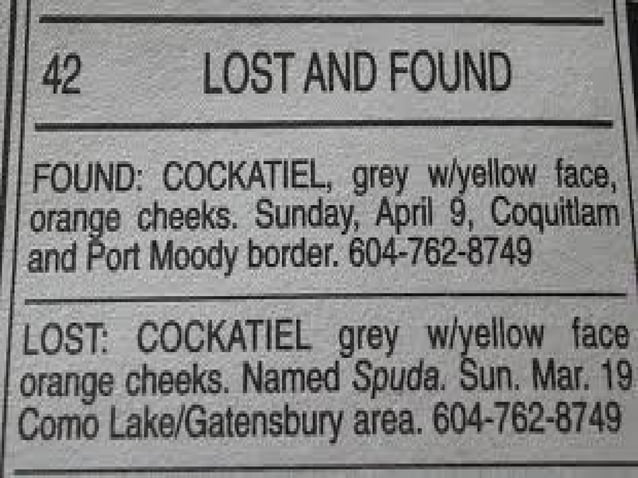 Advertisements in English material grade 9.ppt | Advertising Industry ...