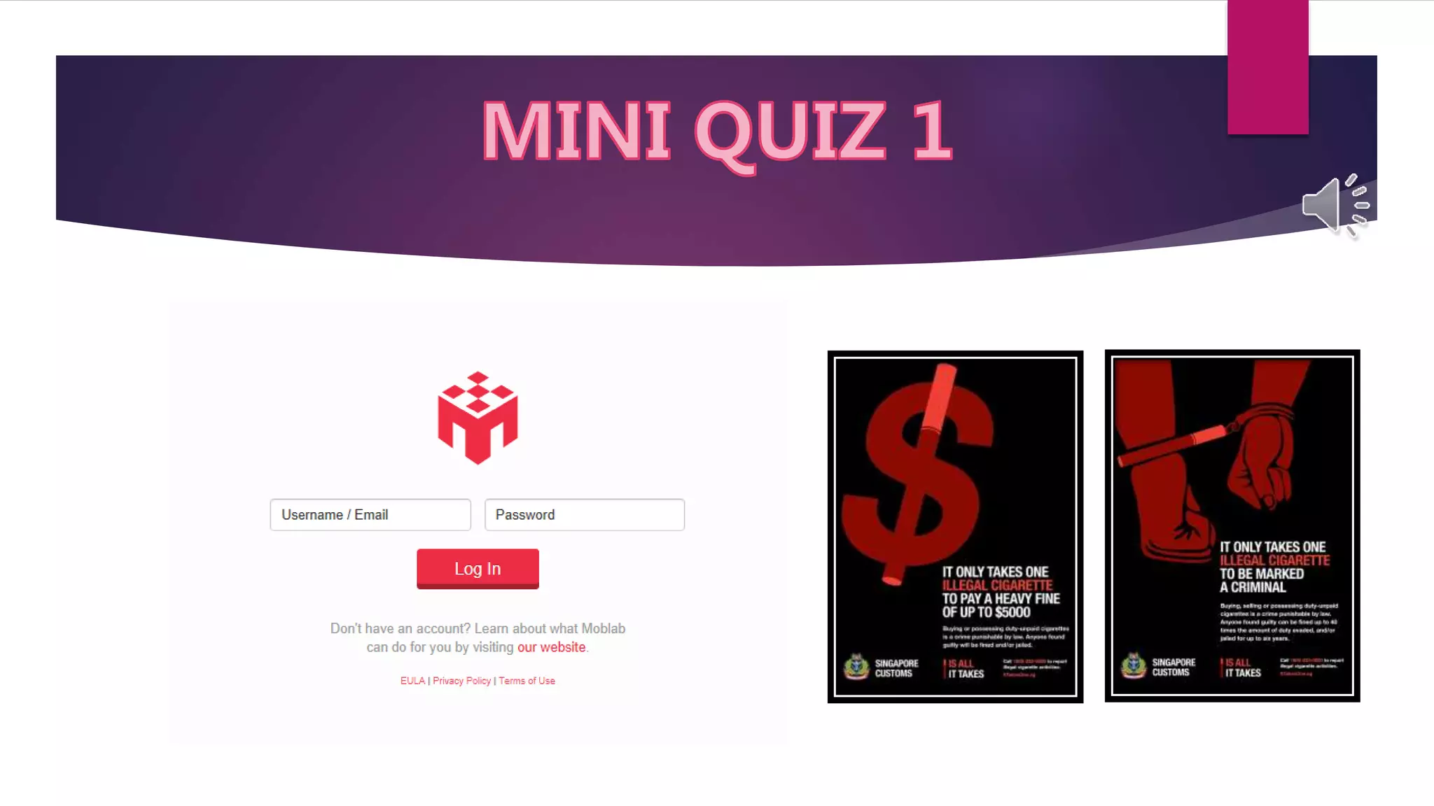 Customs Guide | PPTX