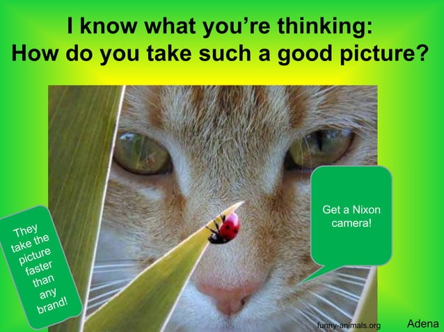 A Collection of Advertisements (Created by Mrs. Partovich's 4th Grade ...