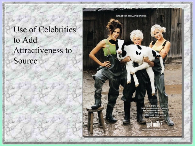 Advertising Theory | PPT