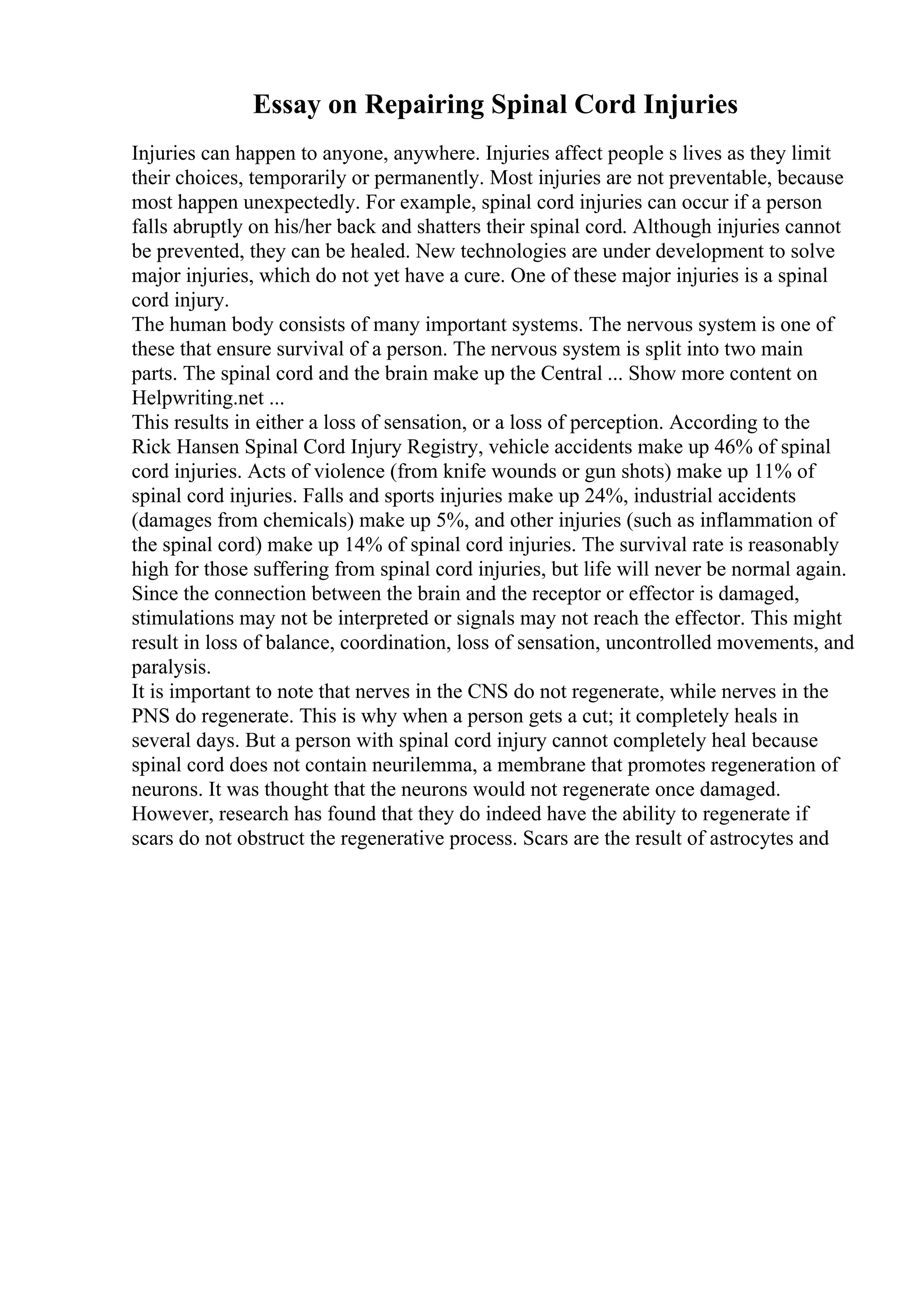 Advertising Analysis Essay. Advertisement Analysis Essay Example | PDF